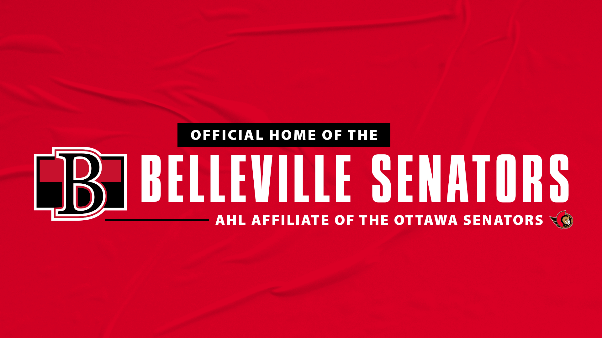 Belleville Senators - AHL affiliate of the Ottawa Senators.
