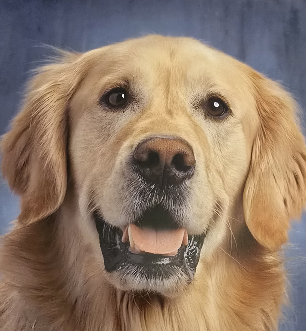 07/10/2025 | Reading with Remy | Abington Township Public Library