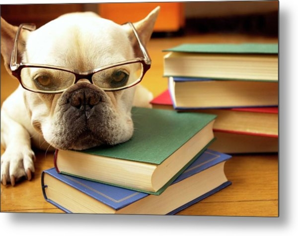 01/05/2024 | Let's De-Stress! | Abington Township Public Library