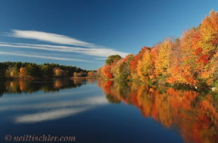 07/27/2022 | Walking Tour of Ice House Pond | Acton Memorial Library