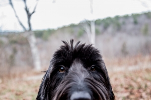 02/19/2023 | Artist Reception for Stacy Cusack (In-Person) | Amherst ...