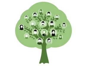05/28/2025 | Virtual - An Introduction To Forensic Genealogy | Ashland ...
