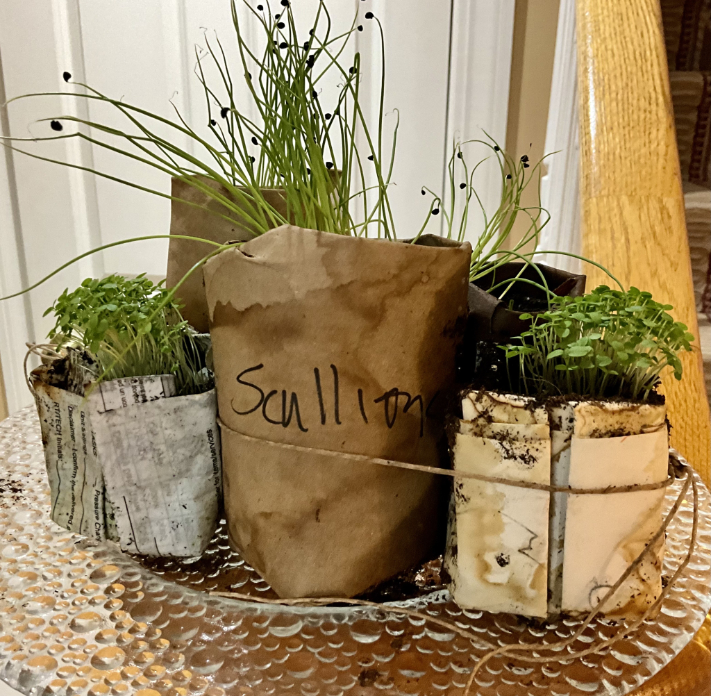 04/28/2025 | In Person - Gardening Series: Ways to make paper pots for ...