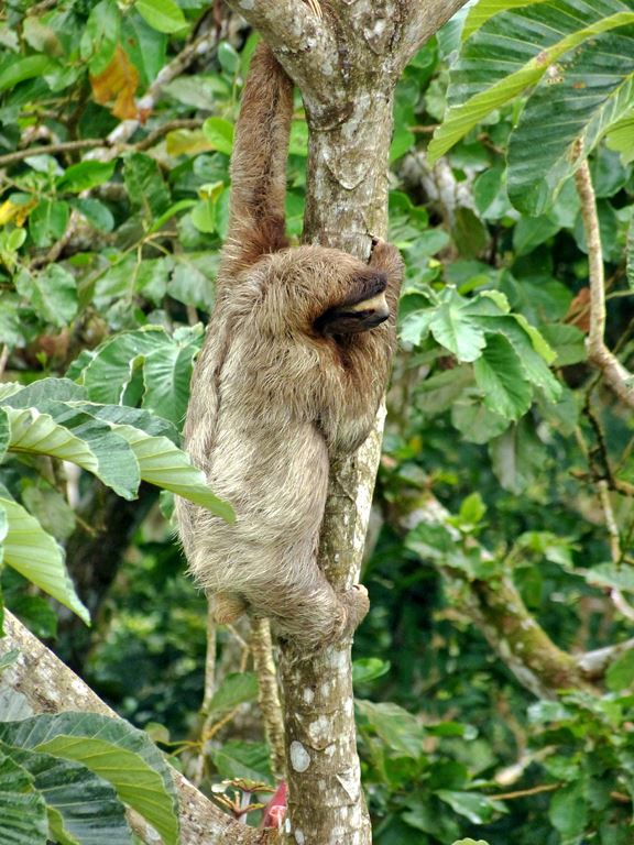 01/09/2025 | Virtual - The World's Natural Wonders with Bill Gette ...