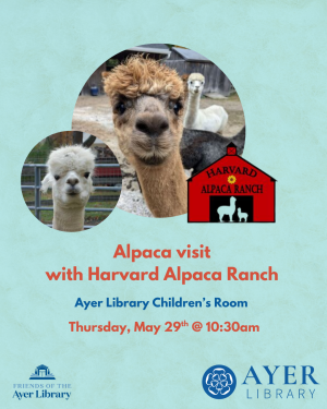 05/29/2025 | Alpaca Farm Visit! | Ayer Library