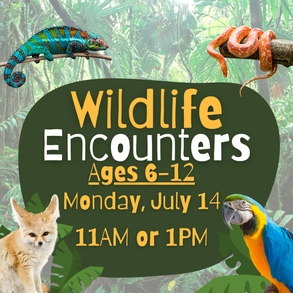 Monday, July 14, 2025 | Wildlife Encounters for Ages 6-12 | Bedford ...