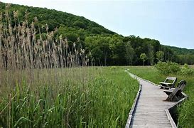 06/11/2024 | Mini-Appalachian Trail Hike | Beekman Library