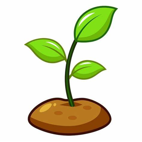 02/28/2025 | Seed Starting! (Adult Program) | Beekman Library