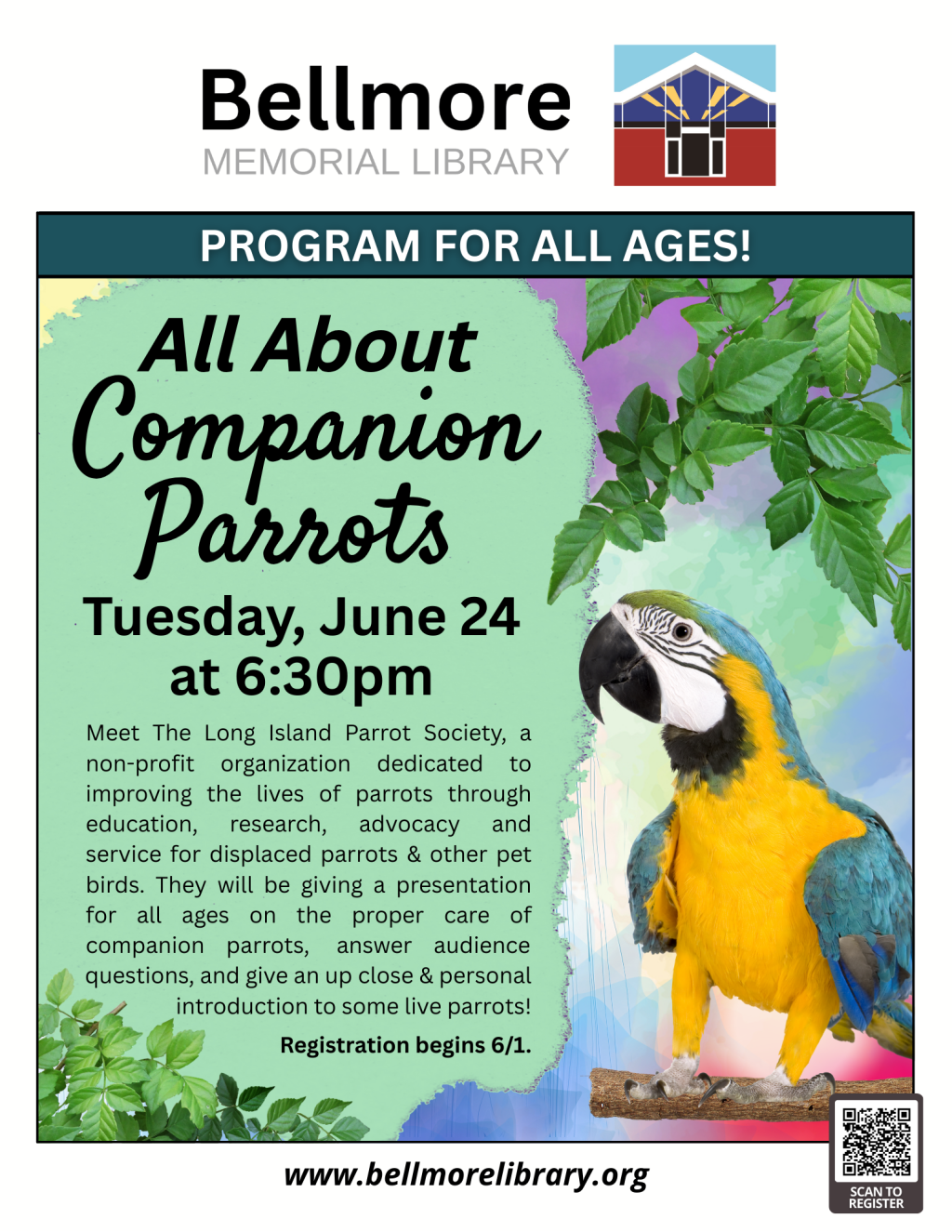 06/24/2025 | All About Companion Parrots | Bellmore Memorial Library