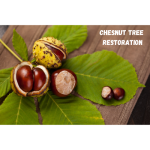 05/15/2025 | Restoring the American Chestnut Tree Presented by the ...