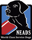 03/08/2023 | What is NEADS? | Bigelow Free Public Library