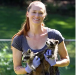05/20/2023 | Newhouse Wildlife Rescue | Billerica Public Library