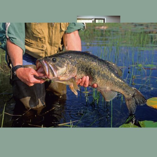 04/22/2025 | Adult Program - The Mad Fisherman, Charlie Moore ...