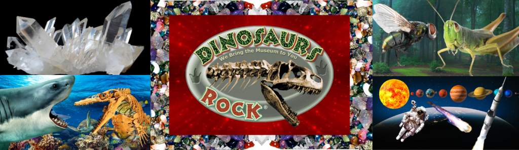 08/12/2021 | Dinosaurs Rock- A Virtual Interactive Fossil Adventure ...