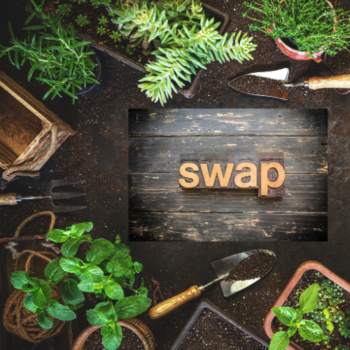Saturday, May 18, 2024 | Adult Program - Plant Swap | Billerica Public ...