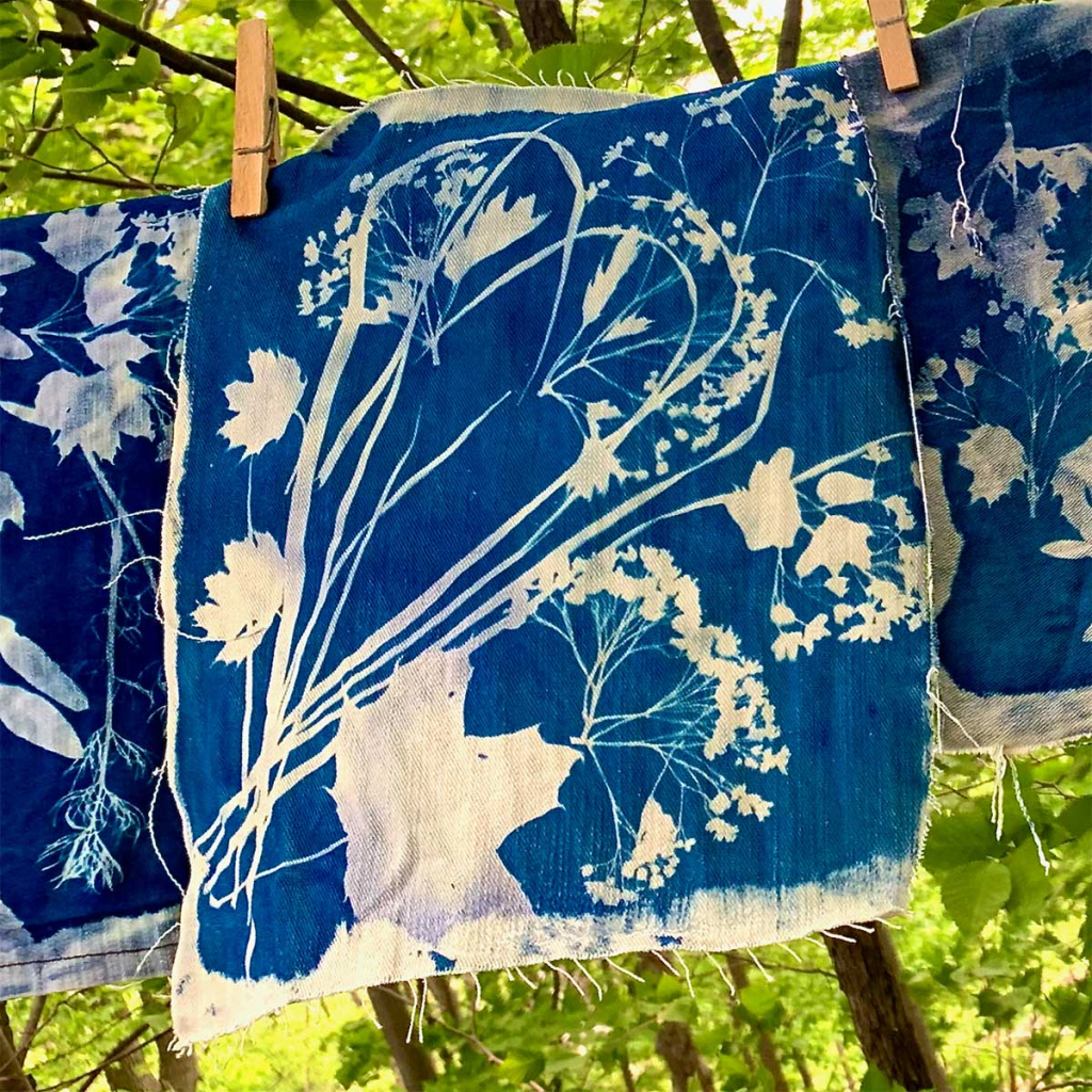 06/13/2024 | Cyanotype Workshop | Sargent Memorial Library