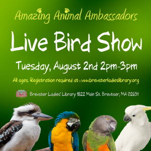 08/02/2022 | Amazing Animal Ambassadors Bird Show - ALL FULL | Brewster ...