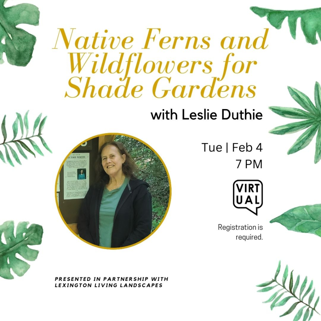 02/04/2025 | VIRTUAL - Native Ferns and Wildflowers for Shade Gardens with Leslie Duthie | Cary ...