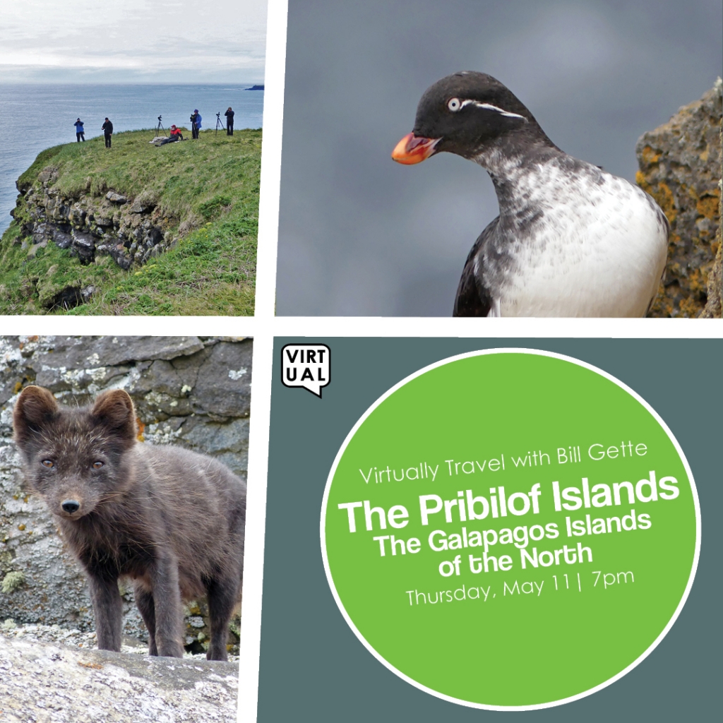 05/11/2023 | VIRTUAL - Pribilof Islands: The Galápagos Islands of the ...