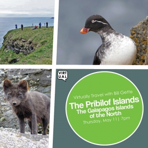 05/11/2023 | VIRTUAL - Pribilof Islands: The Galápagos Islands of the ...