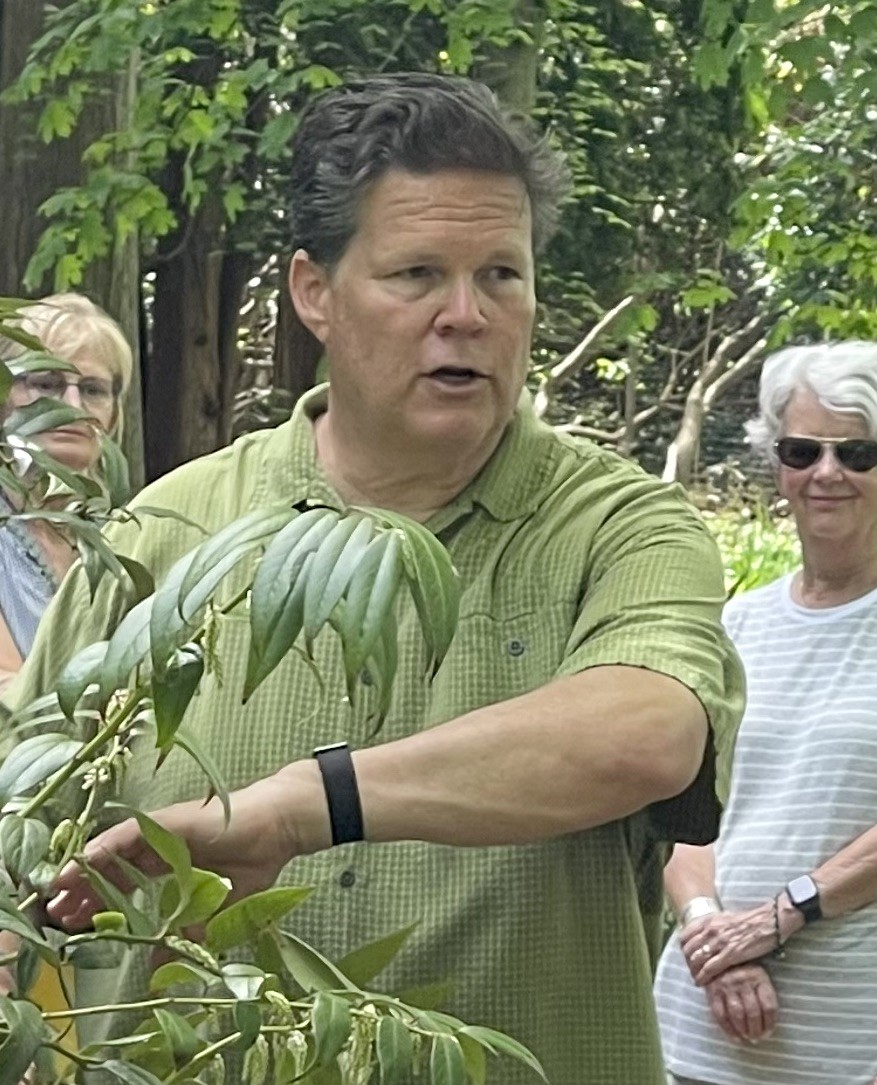 05/05/2025 | VIRTUAL - Native Plant Basics: A Conversation with Reed Pugh | Cary Memorial Library