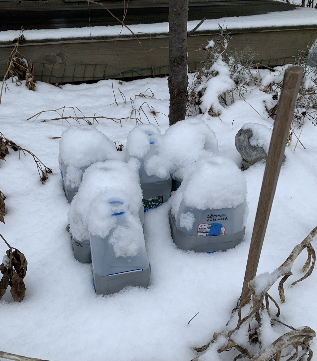 01/20/2024 | Winter Seed Sow Workshop at Fowler | Concord Free Public ...