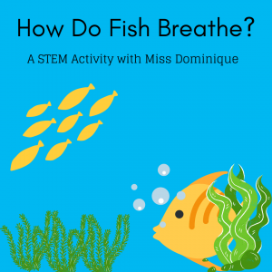 Wednesday, July 28, 2021 | STEM Activity: How Do Fish Breathe ...