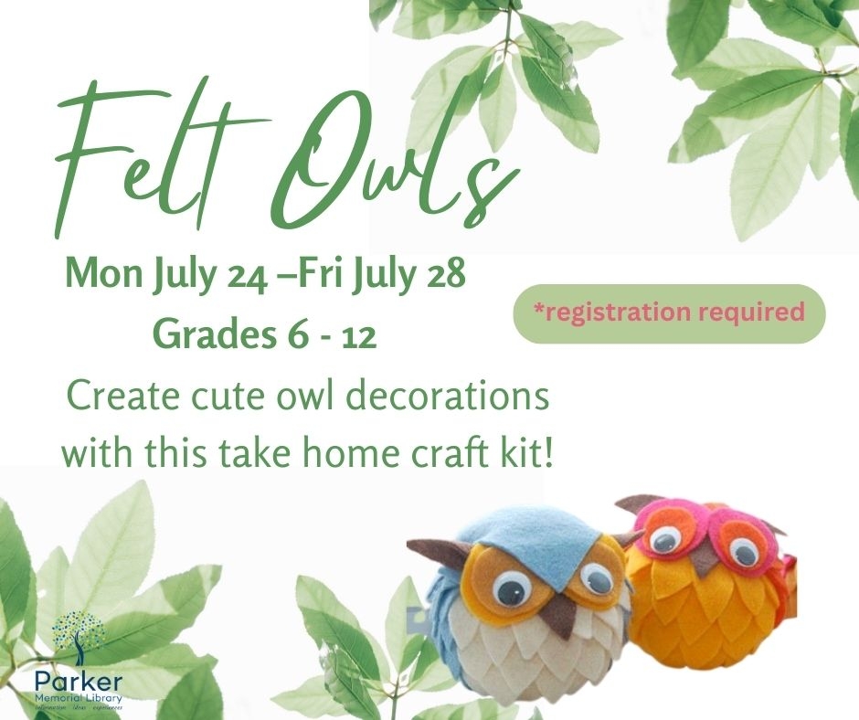 07/24/2023 | YA Felt Owls | Parker Memorial Library
