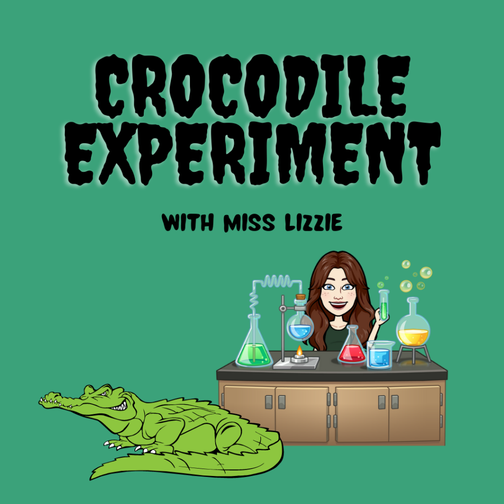 08/11/2021 | STEM Activity: Crocodile Experiment | Parker Memorial Library