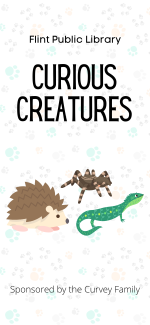 03/26/2025 | Curious Creatures | Flint Public Library