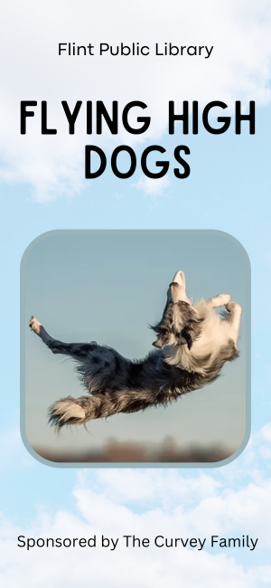 07/08/2025 | Flying High Dogs | Flint Public Library