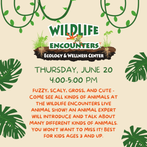 06/20/2024 | Wildlife Encounters Live Animal Show | Goodnow Library