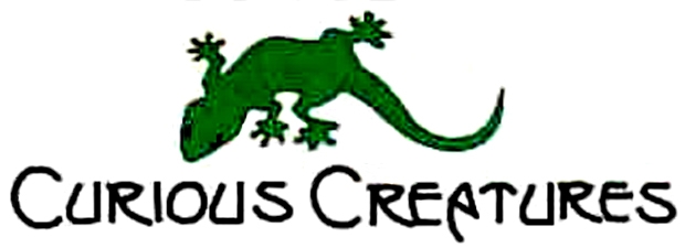 02/20/2019 | Curious Creatures Live Animal Show, Ages 2 & up | Goodnow ...