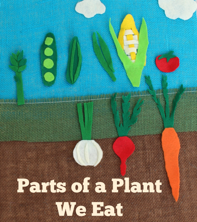 July 2024 Events | Hamburg Township Library