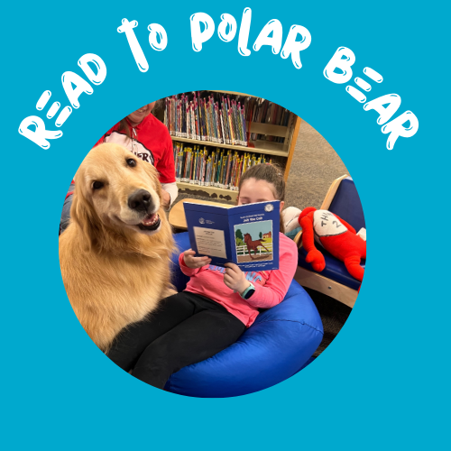02/27/2025 | Read to Polar Bear, a Therapy Dog | Holbrook Public Library