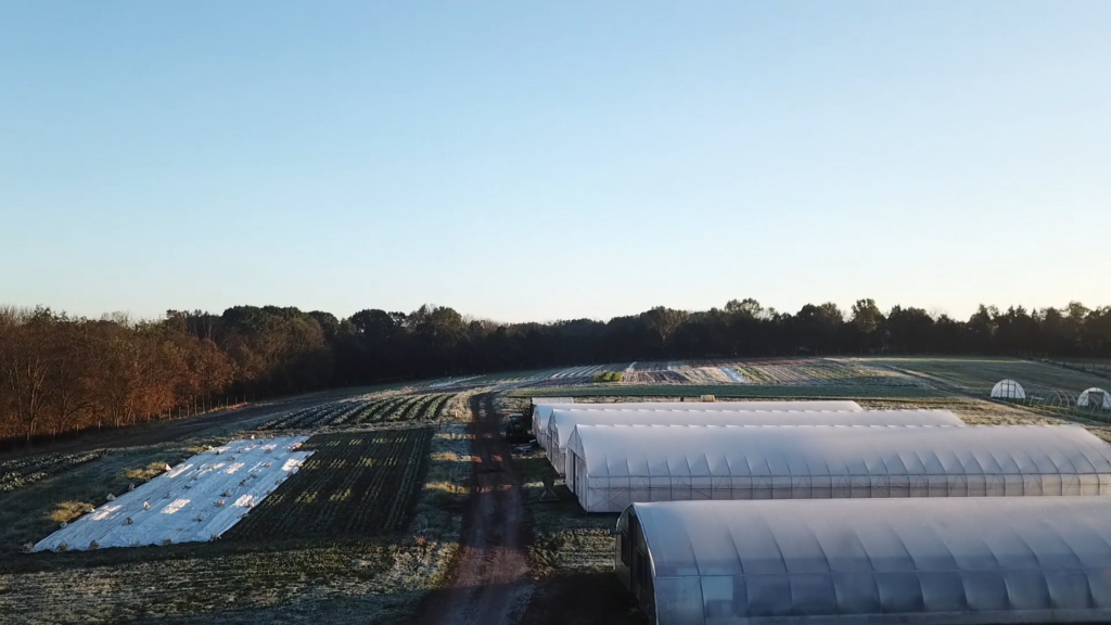 03/11/2024 | Living Hope Farm - Organic Gardening | Indian Valley ...