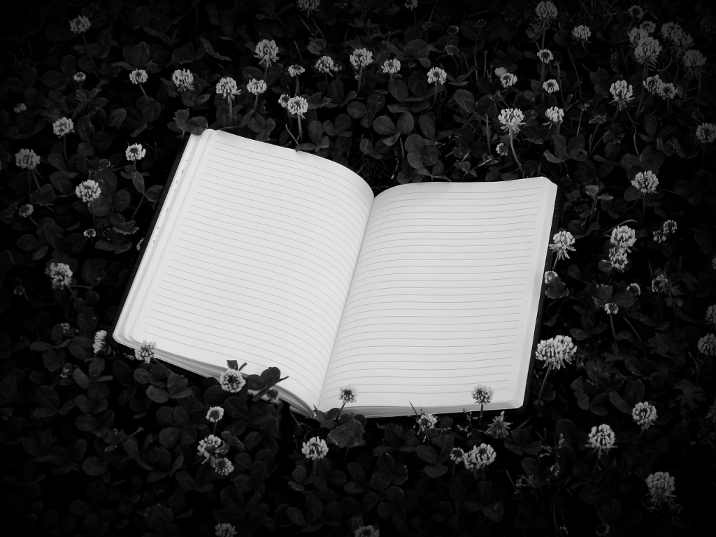 Friday, July 25, 2025 | Tortured Poets Department: A Poetry Workshop ...