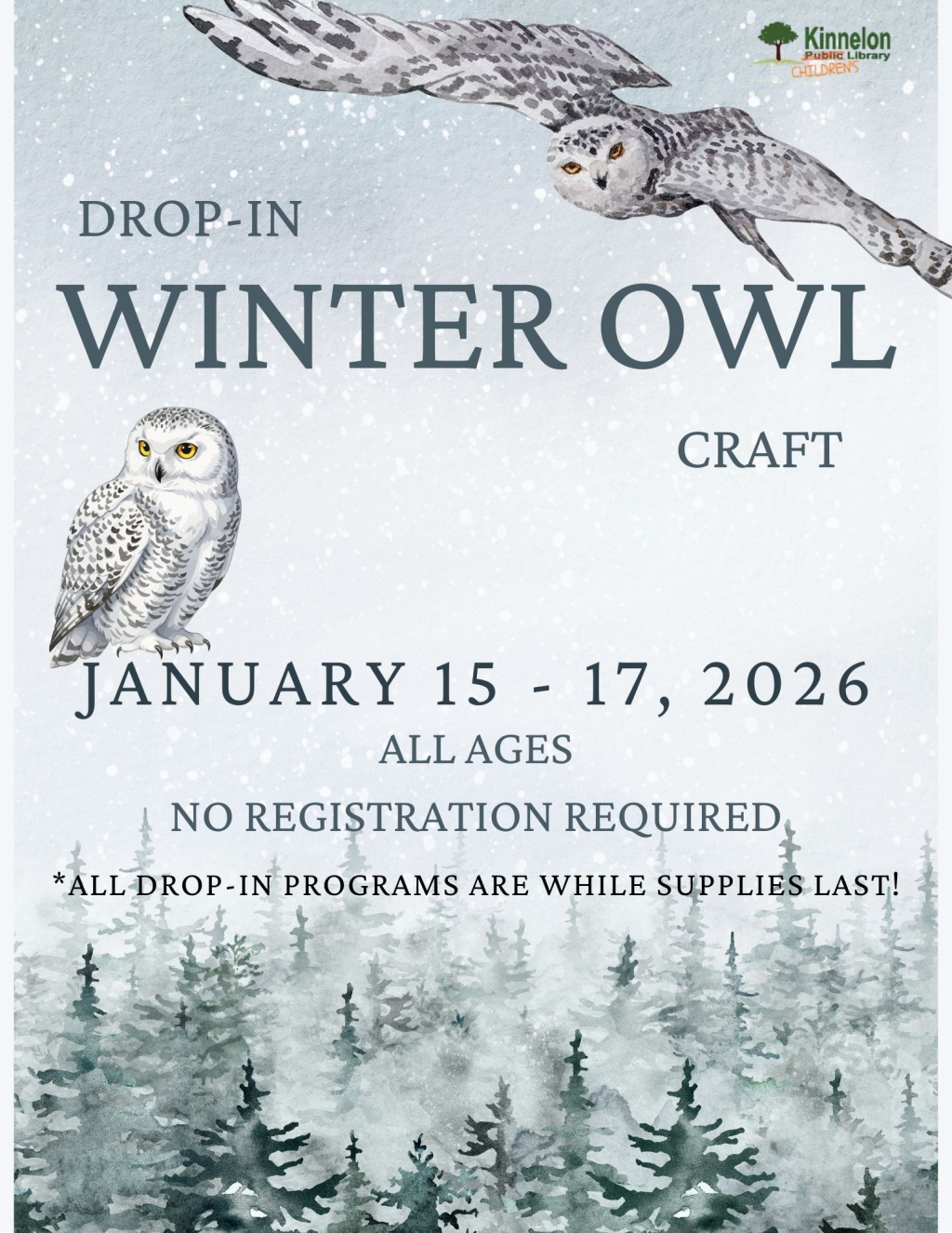 01/17/2026 | Drop-In Winter Owl Craft: Children's Room | Kinnelon ...
