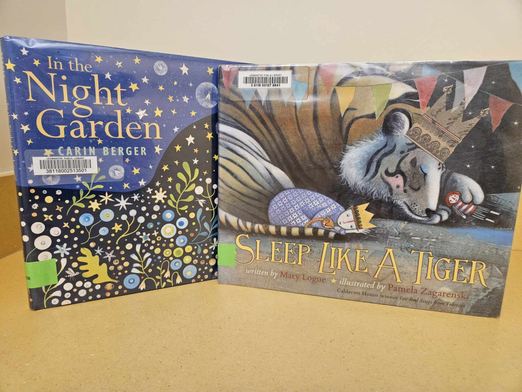 02/04/2025 | Nighttime Story and Craft! | Leominster Public Library