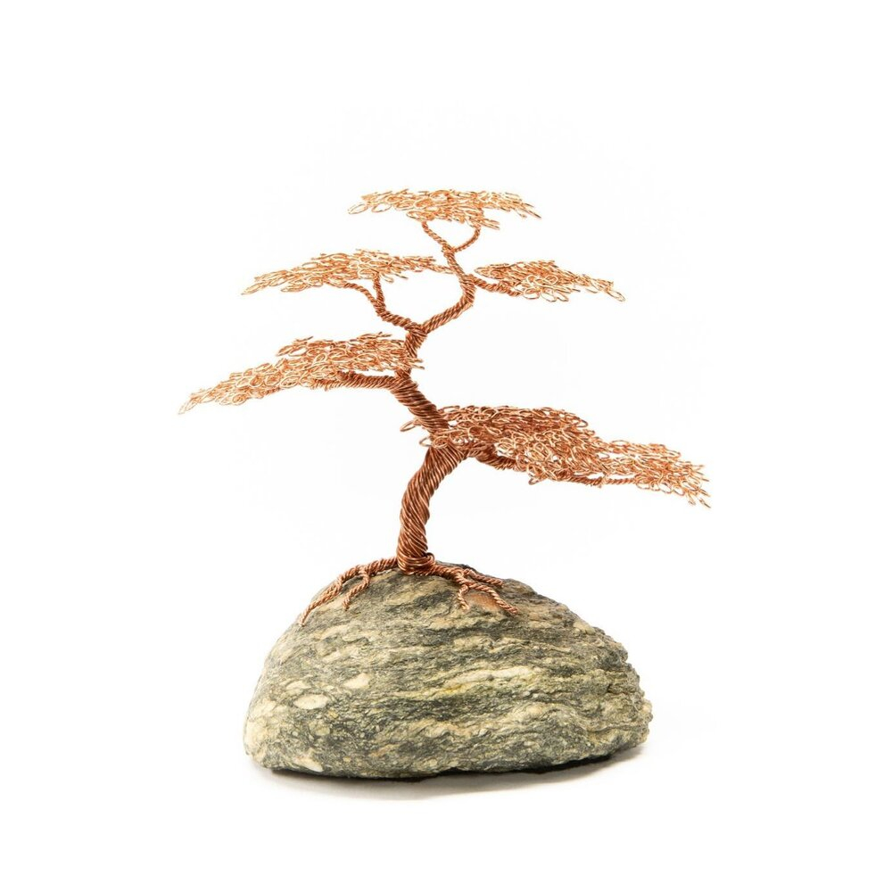 Saturday, January 18, 2025 | Wire Tree Art Class with Ryan Kelley ...