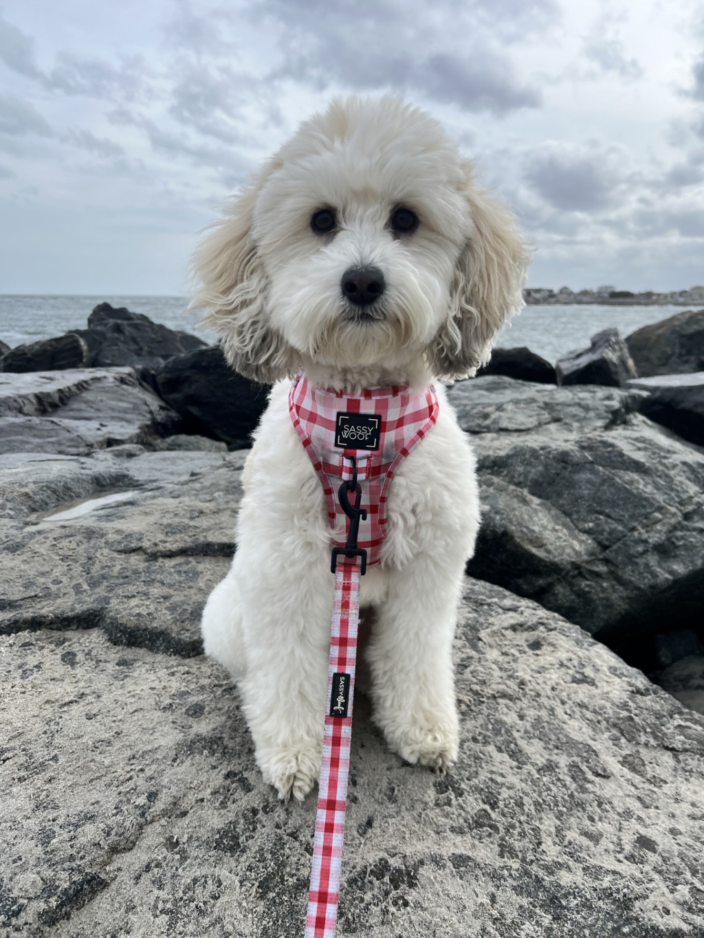 July 2025 Events | Reuben Hoar Library