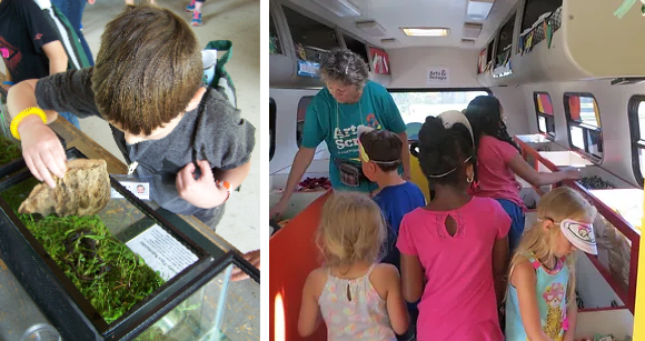 06/10/2023 | Summer Reading Kickoff | Lyon Township Public Library