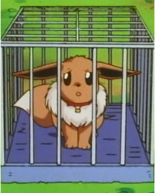 June 2024 Events | Lyon Township Public Library