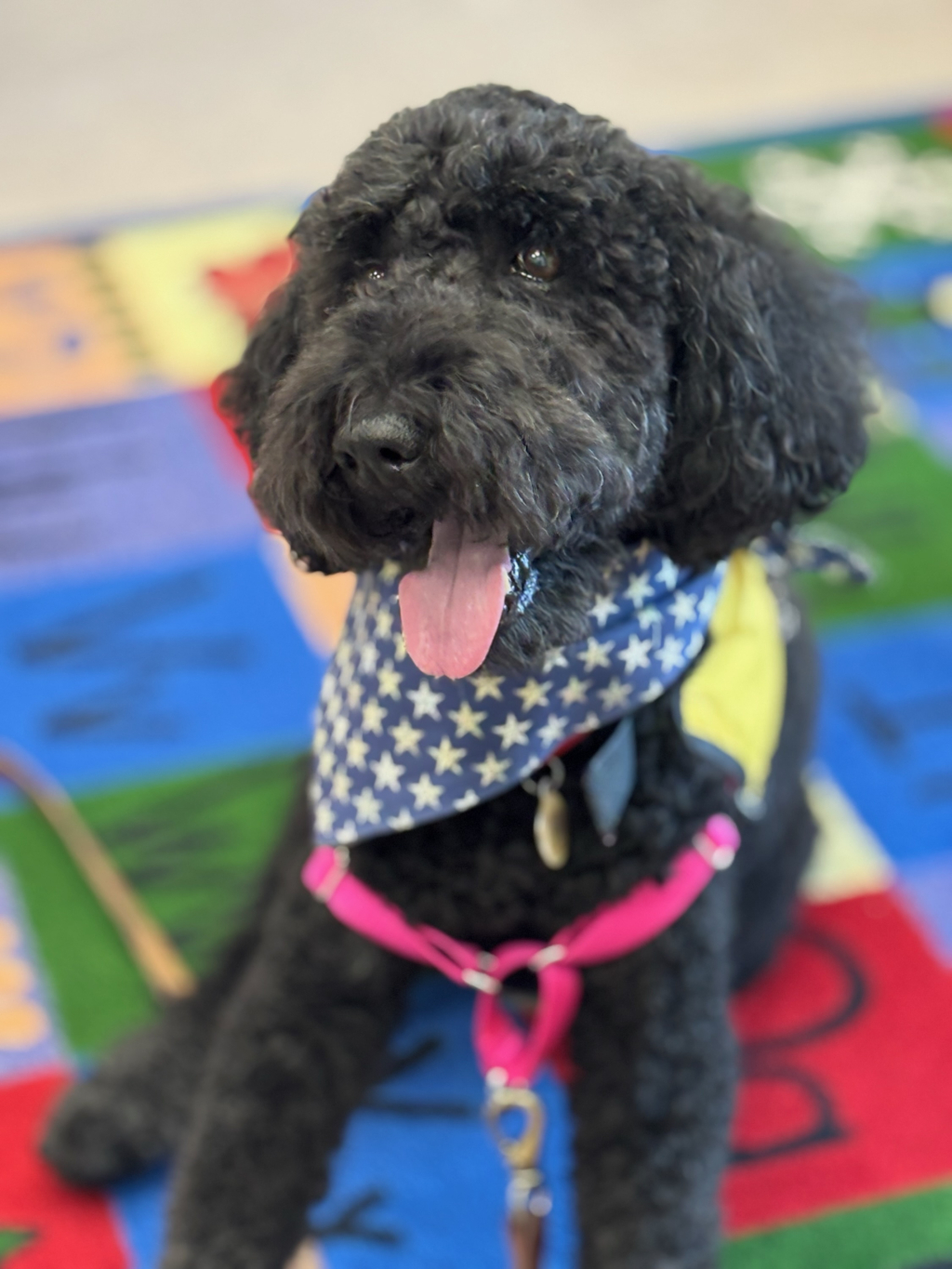 July 2025 Events | Mahopac Public Library