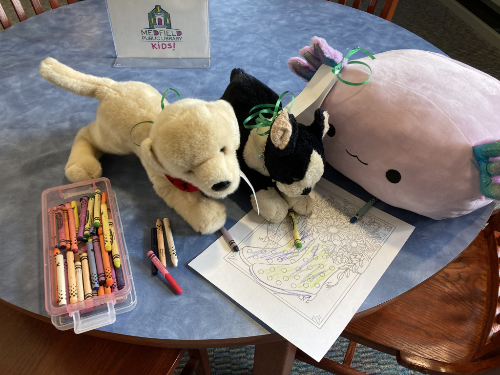 02/07/2025 | Stuffed Animal Sleepover | Medfield Public Library