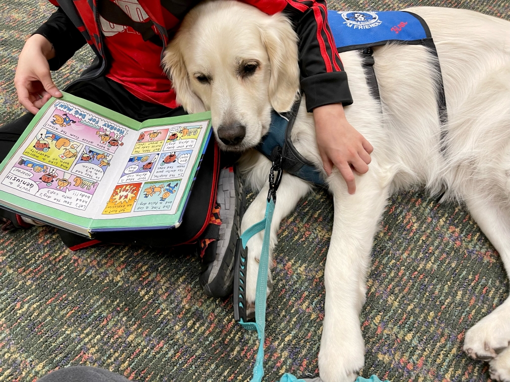 Thursday, November 7, 2024 | Paws for Reading (Grades K-8) | Milford ...