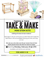 02/10/2025 | Tween & Teen Take & Make: Mini STEM Kits | Natick Libraries