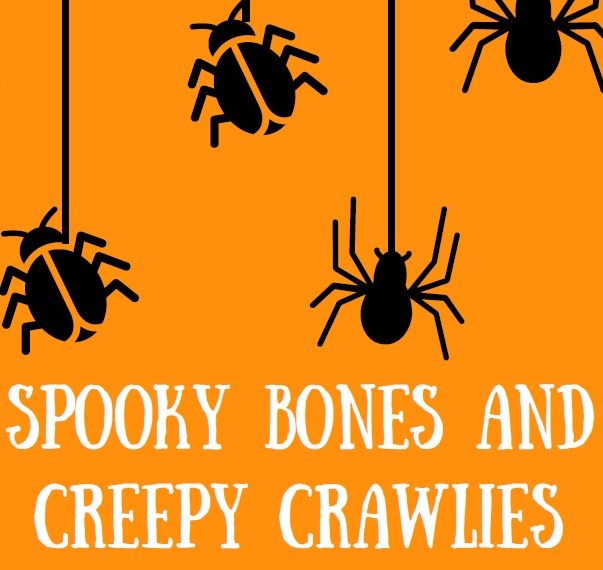 10/28/2022 | Spooky Bones and Creepy Crawlies with Professor Bugman ...
