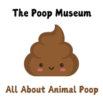 08/03/2024 | All About Animal Poop | Needham Public Library