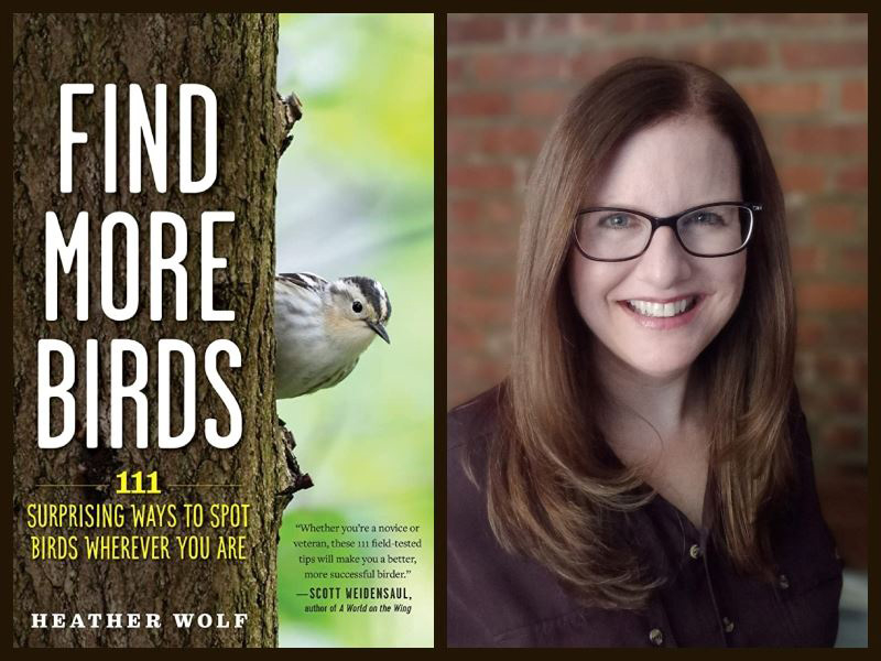 04/24/2024 | Virtual - Author Heather Wolf Discusses "Find More Birds ...